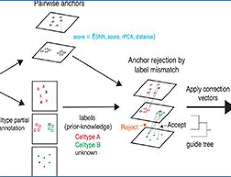 Interpretation Of Differential Gene Expression Results Of Rna Seq Data