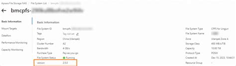 View The Details Of A File System Cloud Parallel File Storage