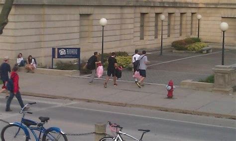 If You Saw The Flamingos On Bascom Today They Were For Breast Cancer