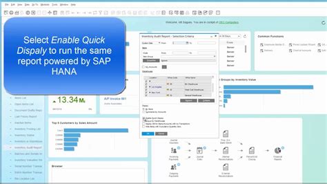 Inventory Report From Sap At Nicole Gibbs Blog