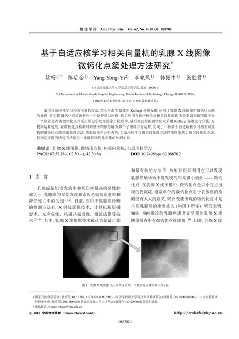 Pdf Microcalcification Clusters Processing In Mammograms Based On Relevance Vector Machine
