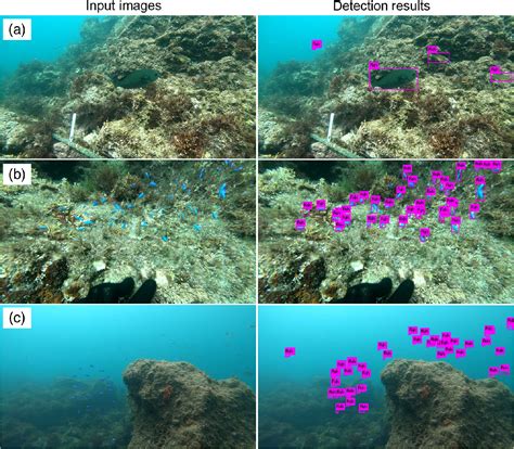 Underwater And Airborne Monitoring Of Marine Ecosystems And Debris