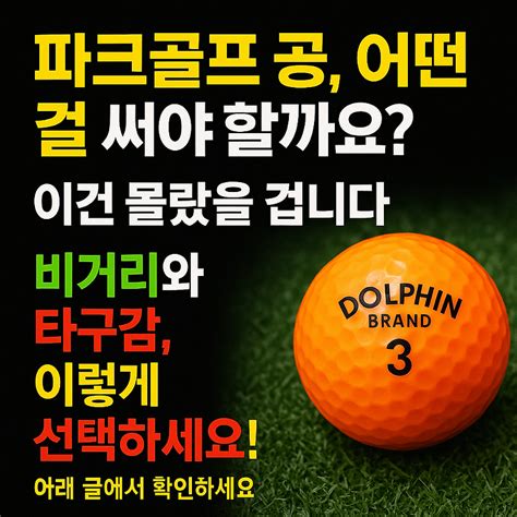 파크골프 공 추천 2025｜초보자부터 상급자까지 브랜드별 비교 총정리