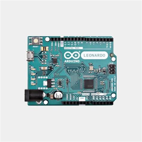 Arduino Leonardo Monraspberry