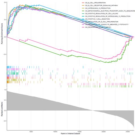 一文掌握单基因gsea富集分析 Gseago And Gseakegg Csdn博客 一文掌握单基因gsea富集分析 Gseago And Gseakegg Csdn博客