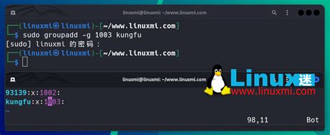 如何在 Linux 上管理用户组 Linux迷