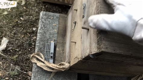 用格子箱养蜂要关注蜂群筑巢位置，及时进行调整才能做满整个蜂箱 Youtube
