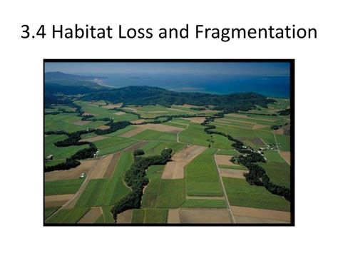 Ppt Biodiversity Habitat Loss And Fragmentation Powerpoint