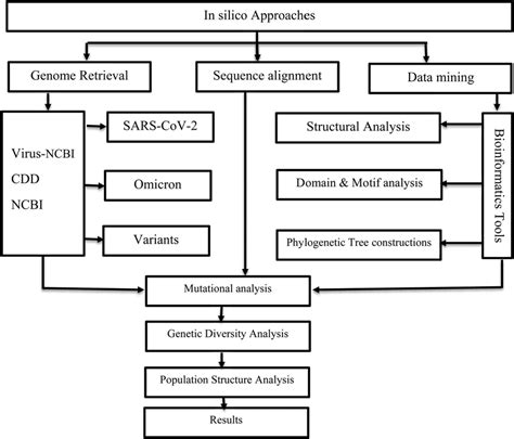 Scheme 1 Complete Workflow Of The In Silico Strategy Employed For Download Scientific Diagram