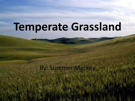 Temperate Grassland Pptx