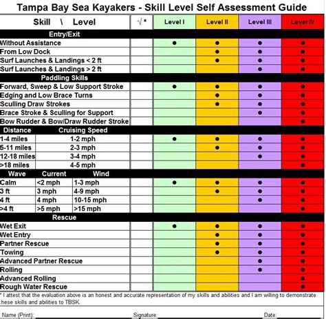 Basic Skills Assessment At Michael Carandini Blog
