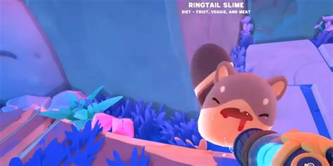 Slime Rancher 2 How To Get And Raise The Ringtail Slime