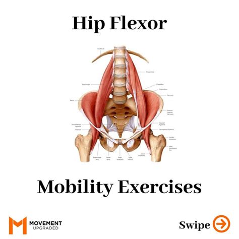 Movement Upgraded On Instagram “🔥hip Flexor Mobility🔥 A Lack Of Hip