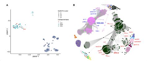 Pan Genome Modeling Of Chinas St15 Kpn Population A Visualization Download Scientific