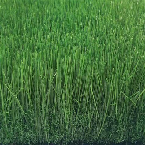 Tekgrass 60gg Lush Loom