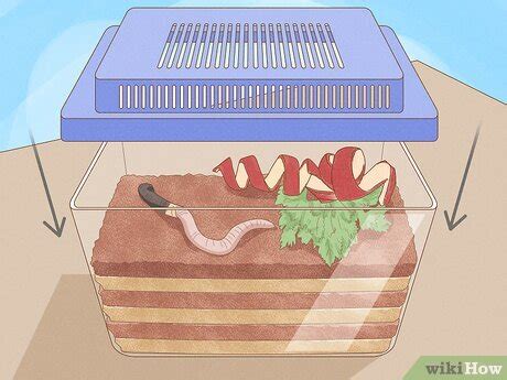 How To Make A Worm Habitat Steps With Pictures WikiHow