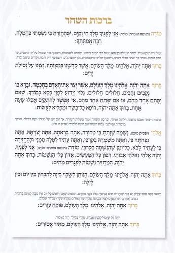 ברכון ענק ברכות השחר Xxl