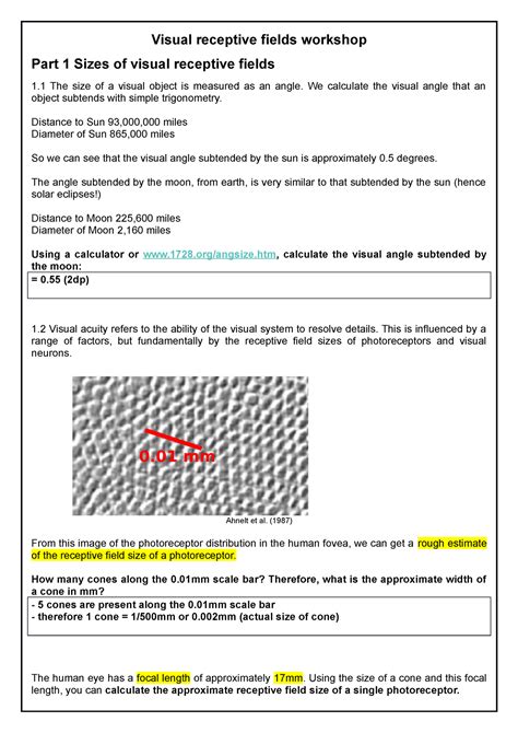 Receptive Fields Worksheet 2022 1 Visual Receptive Fields Workshop Part 1 Sizes Of Visual