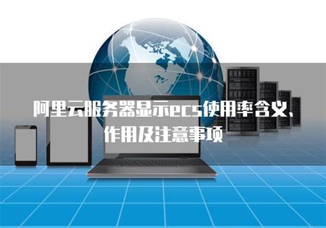 阿里云服务器显示ecs使用率含义、作用及注意事项