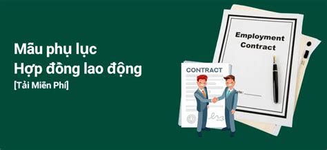 Mẫu Phụ Lục Hợp đồng Lao động Chuẩn Theo Quy định Mới Tải Miễn Phí