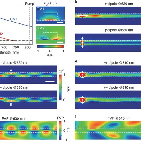 Schematic Of The Nanophotonic Circuit A Illustration Of The Download Scientific Diagram
