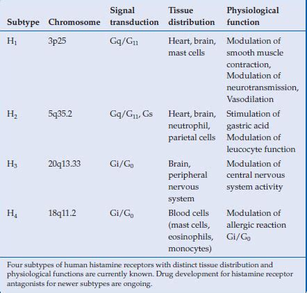 H2 Histamine Drugs H2 Receptor Antagonist Nijq