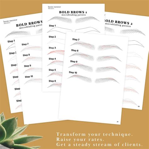 Bold Brows Microblading Patterns Step By Step Microblading Stroke Pattern Template Phibrows