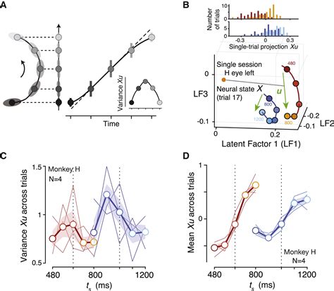 bayesian computation through cortical latent dynamics neuron