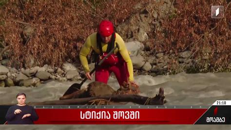 სტიქია შოვში 1tv