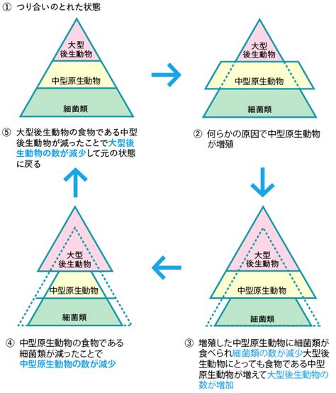 排水処理の方法 活性汚泥法 ヒキタ工業株式会社