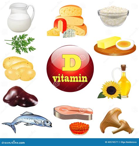 Vitamin D and Plant and Animal Products Stock Vector - Illustration of ...
