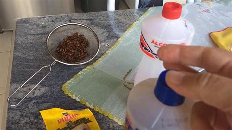 Repelente Caseiro Com álcool E Cravo Da Índia Youtube