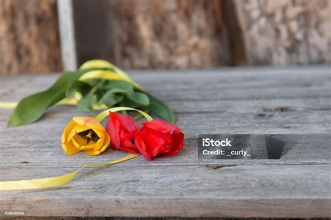 노란 리본으로 감싸 나무 바탕에 빨간색과 노란색 튤립 꽃다발 3월에 대한 스톡 사진 및 기타 이미지 3월 개화기 결혼식