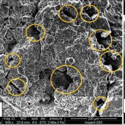 SEM Photo A Origin Soil B Contaminated Soil With Crude Oil C Download Scientific Diagram