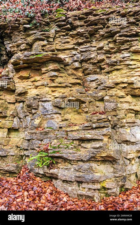 Beds Of Oolitic Limestone Exposed In An Old Quarry On The Cotswolds At