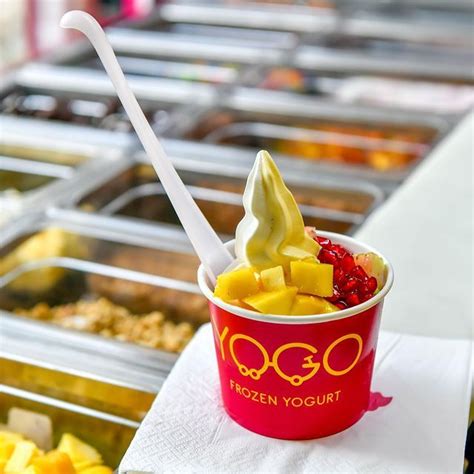 Yogo Frozen Yogurt Delicious Dessert Treat