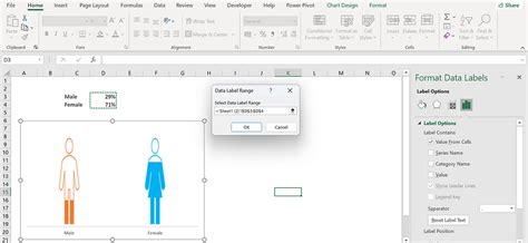 Male And Female Infographics In Excel