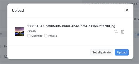 Files Get Optimized Regardless Of Unchecking Optimize When Uploading Issue