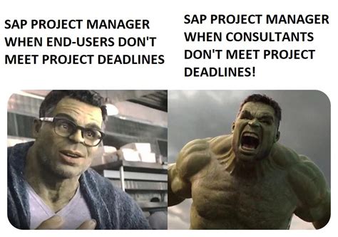 Sap Sapmemes Sapprojectmanager Fridayfun Eursap Europes 1 Sap
