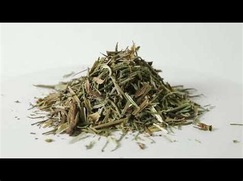 Купить траву болиголов в аптеке травника Кайгородова - Полезные травы ...