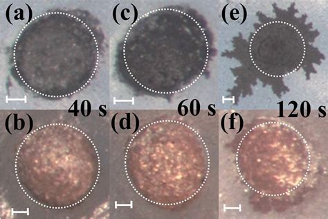 Comparison Of Different Electrodes Plated For Varying Amounts Of Time
