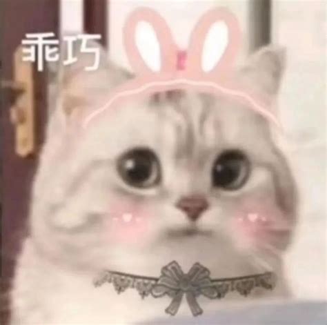 她发癫，他兜底，整顿内娱惹不起吧 她发癫，他兜底，整顿内娱惹不起书友吧 她发癫，他兜底，整顿内娱惹不起讨论小组 Qq阅读