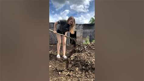 Ответы на вопросы село дача деревня лето хозяйство огород сад Farming юмор Youtube