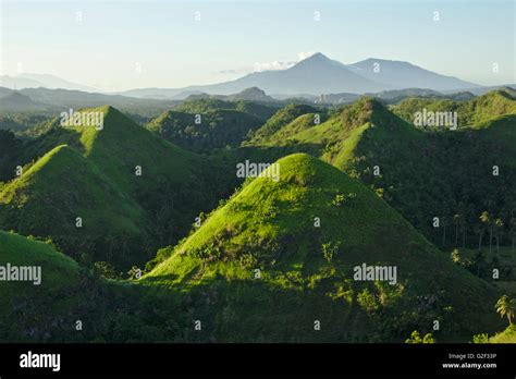 Quitinday Green Hills Cone Karst Near Camalig In Evening Light Albay