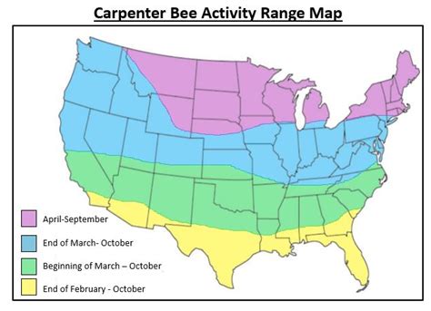 15 Types Of Bees Found In Ontario 2024 2025