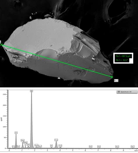 Beam Analytical Pty Ltd Your Ultimate Analytical Analysis Partner