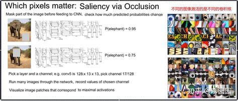 深度视觉第十七章卷积网络的可视化 知乎