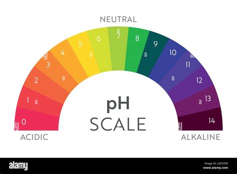 Printable Acid And Base Ph Scale