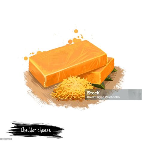 체다 치즈 조각 디지털 아트 일러스트 화이트 배경에 고립 된 신선한 유제품 사실적인 디자인의 건강한 유기농 식품 맛있는 전채 미식 간식 이탈리아 식사 치즈에 대한 스톡 벡터