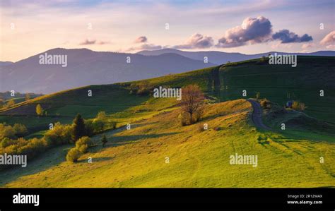 Natural Beauty Of The Rural Landscape Grassy Rolling Hills In Evening